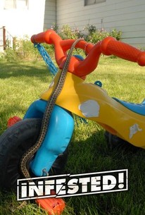 Infested!: Season 1 | Rotten Tomatoes