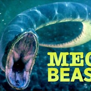 Mega Beasts - Rotten Tomatoes