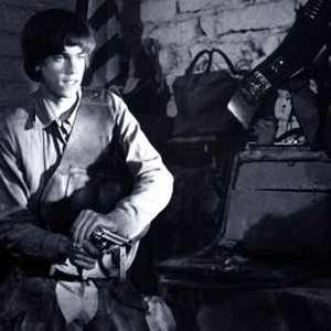 Jory - Rotten Tomatoes