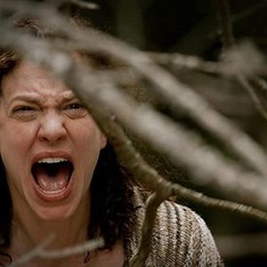 The Bride in the Box - Rotten Tomatoes