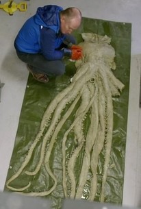 Mythical Beasts: Season 1, Episode 2 | Rotten Tomatoes