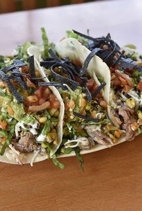 Taco Trip: Season 2, Episode 4 | Rotten Tomatoes