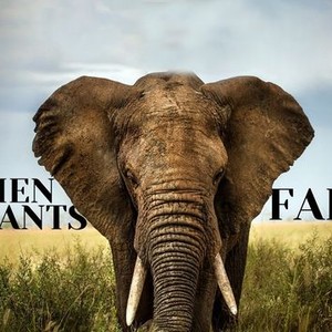 When Giants Fall - Rotten Tomatoes