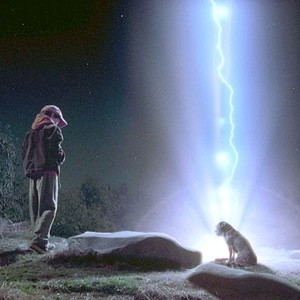 Good Boy! - Rotten Tomatoes