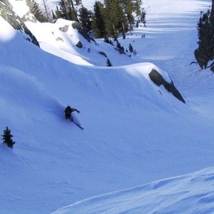 Swift. Silent. Deep - Rotten Tomatoes