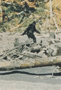 Capturing Bigfoot | Rotten Tomatoes