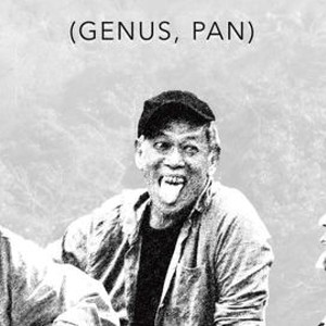 Genus, Pan - Rotten Tomatoes