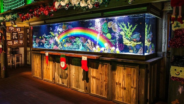 Opening To The Tv Show Tanked Selection Show Viewership Tanked Again,