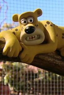 Creature Comforts: Season 1, Episode 1 | Rotten Tomatoes