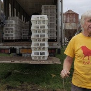 Meat - Rotten Tomatoes