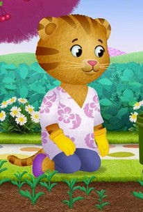 Daniel Tiger's Neighborhood: Season 6, Episode 13 | Rotten Tomatoes