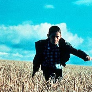 Ratcatcher - Rotten Tomatoes