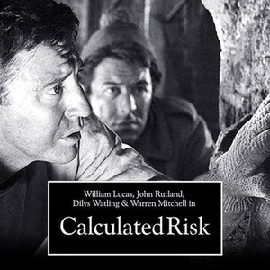 Calculated Risk - Rotten Tomatoes