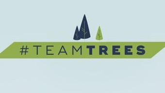 #TeamTrees - Rotten Tomatoes