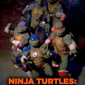 Ninja Turtles: The Next Mutation - Rotten Tomatoes