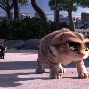 Rudolf the Black Cat - Rotten Tomatoes