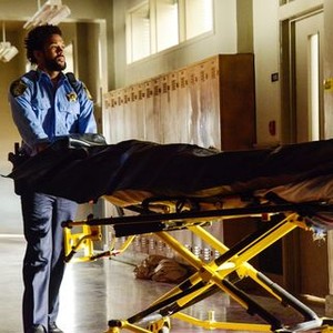 Nicholas Strong - Rotten Tomatoes