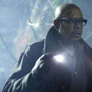 The Marsh - Rotten Tomatoes