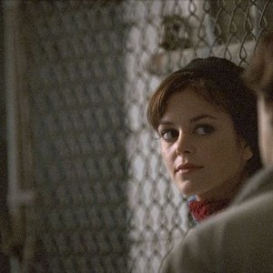 Brick - Rotten Tomatoes