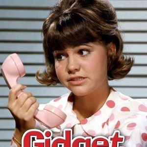 Gidget: Season 1, Episode 32 - Rotten Tomatoes