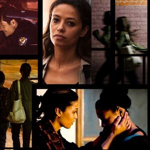 The Fix - Rotten Tomatoes