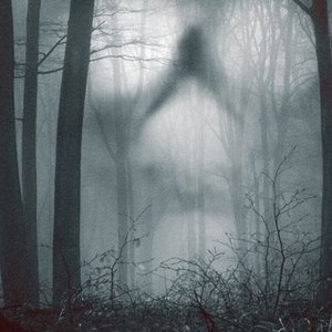 28 Days Haunted - Rotten Tomatoes