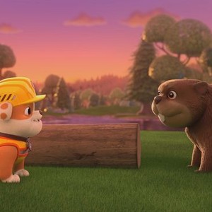 Rubble And Crew: Season 1, Episode 7 - Rotten Tomatoes