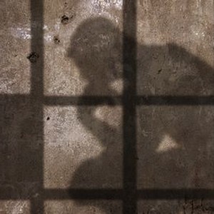 .dog - Rotten Tomatoes