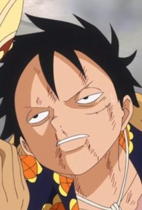 One Piece: Season 17, Episode 101 | Rotten Tomatoes