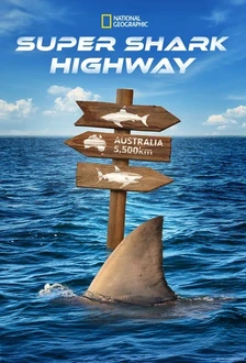 Super Shark Film