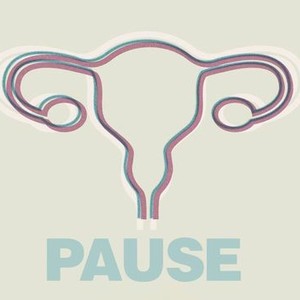 Pause - Rotten Tomatoes