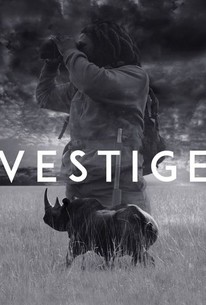 Vestige | Rotten Tomatoes