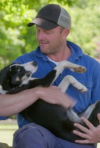 Muster Dogs: Season 2, Episode 2 | Rotten Tomatoes