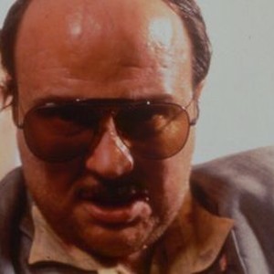Torrente, the Wrong Arm of the Law - Rotten Tomatoes