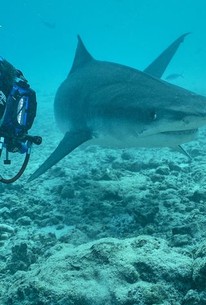 Most Extreme Sharks: Season 1, Episode 2 | Rotten Tomatoes