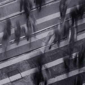 The Disappearing Male - Rotten Tomatoes