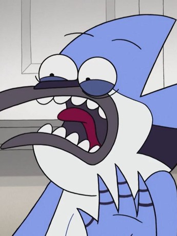 Regular Show Mordecai Head Mordecai Regular Show Face , Png Download