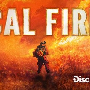 California Fire - Rotten Tomatoes