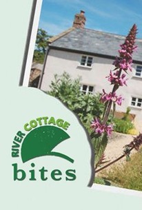 River Cottage Bites | Rotten Tomatoes