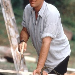 Steven Seagal - Rotten Tomatoes