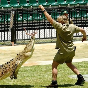 The Crocodile Hunter Diaries - Rotten Tomatoes
