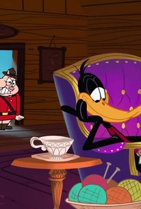 Wabbit: Season 2, Episode 34 - Rotten Tomatoes