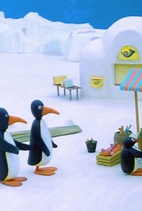 Pingu: Season 2, Episode 24 | Rotten Tomatoes