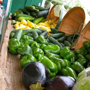 Fresh - Rotten Tomatoes