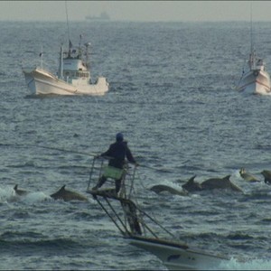 The Cove - Rotten Tomatoes