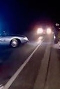 Cops: Season 9, Episode 17 | Rotten Tomatoes