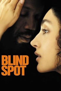 Blind Spot | Rotten Tomatoes