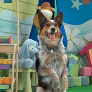 Mutt & Stuff: Season 2, Episode 19 - Rotten Tomatoes