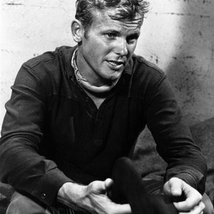 Tab Hunter - Rotten Tomatoes