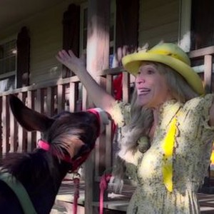 The Naked Carpenter - Rotten Tomatoes